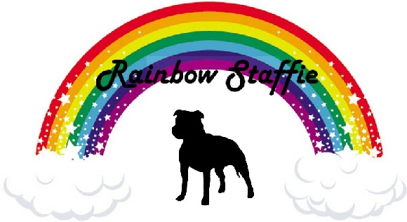 Accueil - Elevage Rainbow Staffie - eleveur de chiens Staffordshire ...